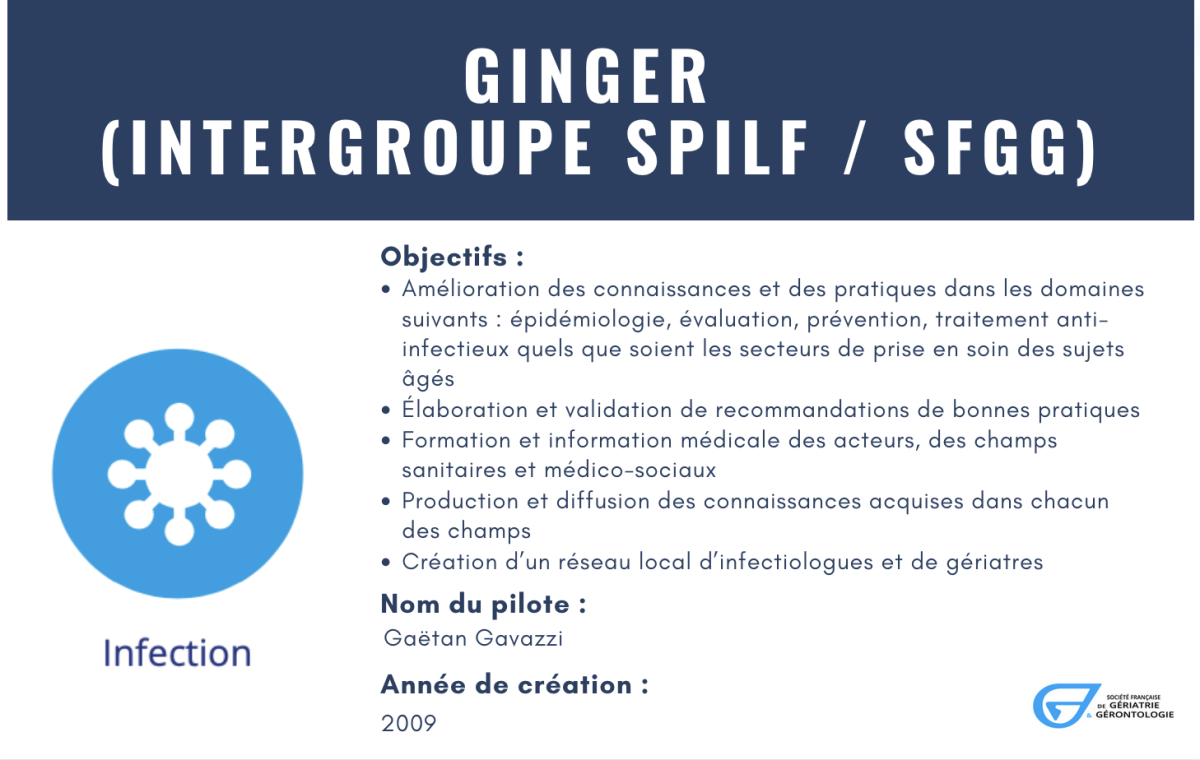 GinGer SPILF / SFGG – SFGG